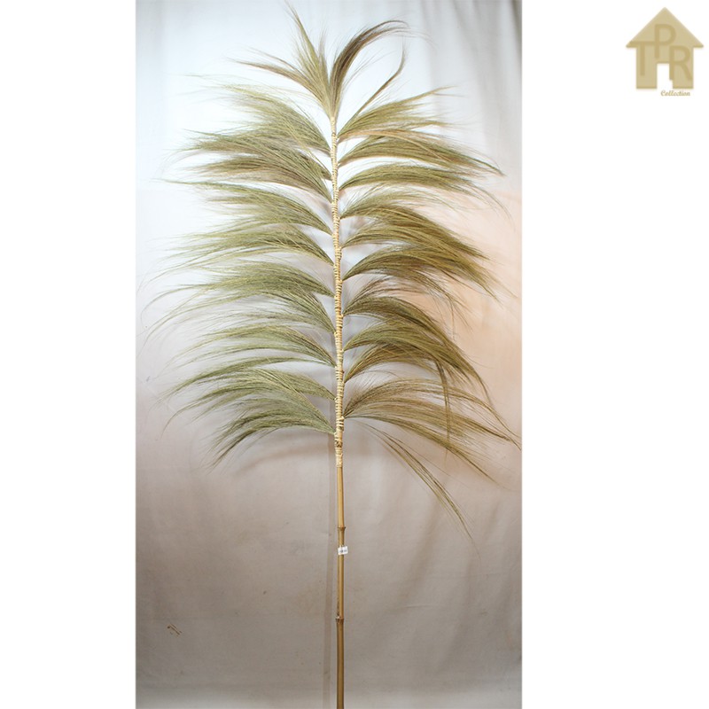 Jual Bambu Dekorasi / Bambu Ornamen / Stick Rayung - P220 | Shopee ...