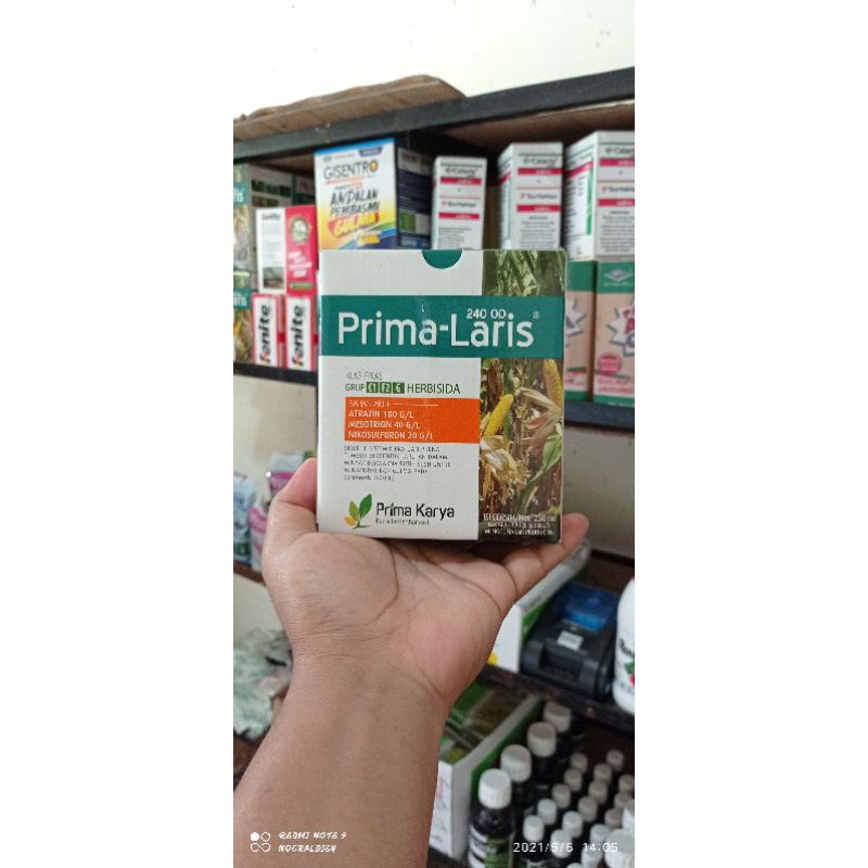 Jual Pengendali Gulma Selektif Jagung PRIMA LARIS 240 OD Kemasan 250 ml ...