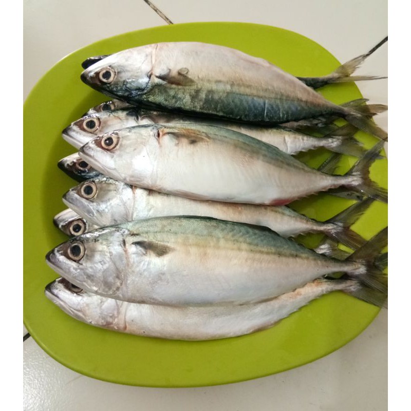 Jual IKAN BANJAR SEGAR 1KG | Shopee Indonesia