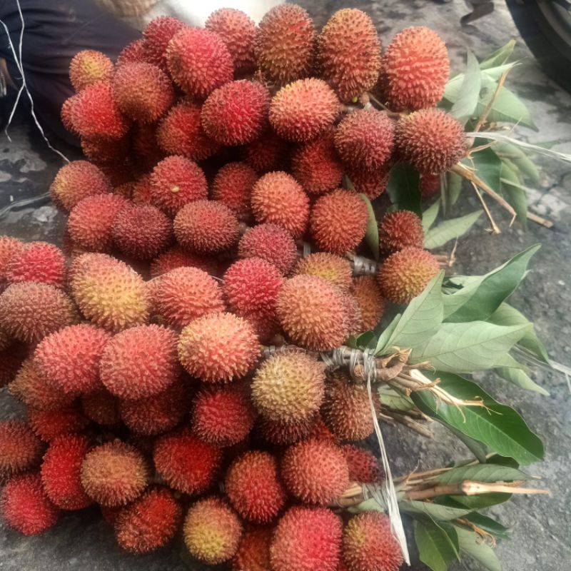 Jual rambutan leci | Shopee Indonesia