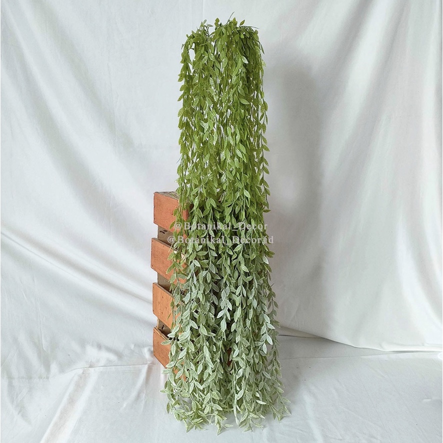 Jual Bunga Daun Hoya Costa Hanging Leaf Bunga Plastik Bunga Palsu ...