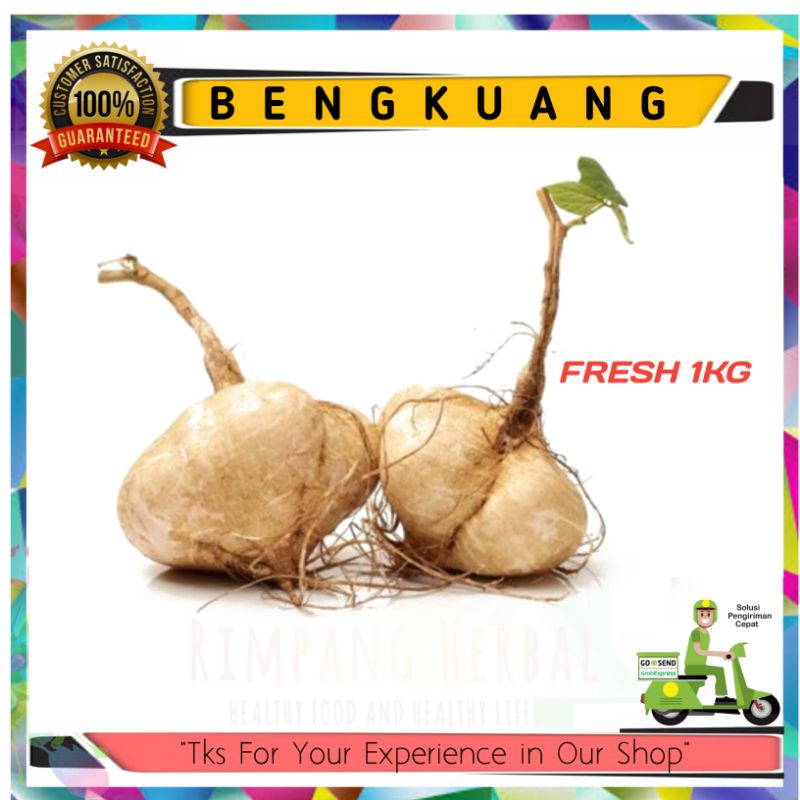 Jual Bengkoang 1Kg | Besusu | Buah Segar | Terbaik | Shopee Indonesia