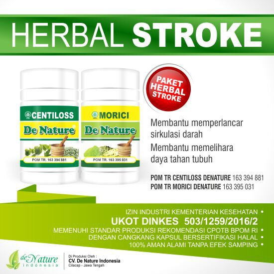 Jual solusi ampuh obat stroke/ lumpuh/saraf kejepit herbal de nature ...