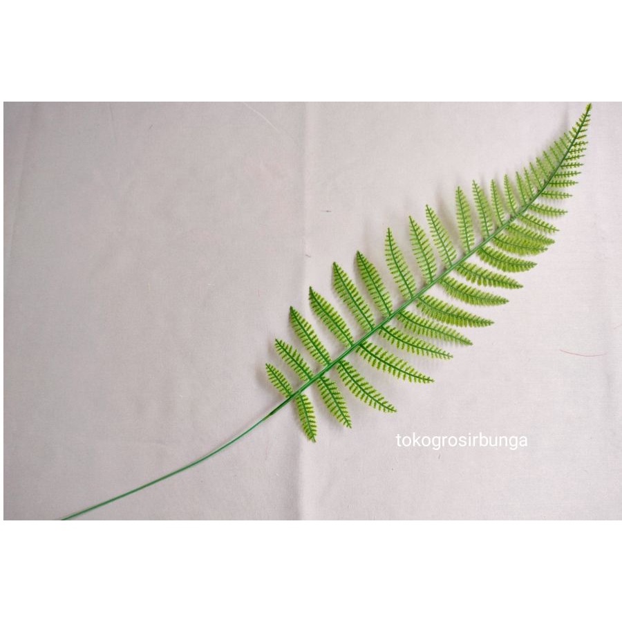 Jual Daun pakis gerigi plastik (satuan) | Shopee Indonesia
