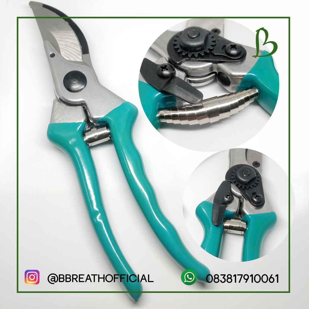 Jual Gunting Dahan Stainless Steel - Gunting ranting | Shopee Indonesia