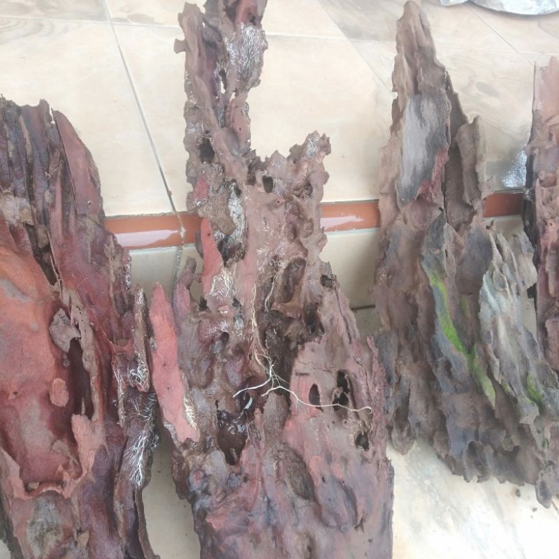 Jual kayu rentek aquarium ukuran xl | Shopee Indonesia