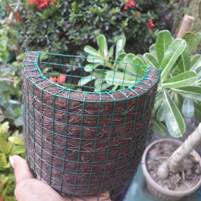 Jual pot tempel anggrek setengah lingkar ijuk aren hitam (cocogreen ...