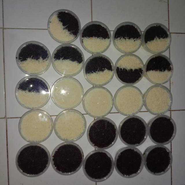 Jual Setup Roti Lulu | Shopee Indonesia