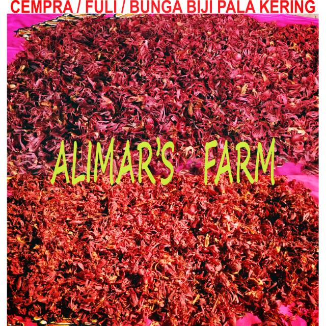 Jual Bunga Buah Biji Pala / Fuli / Cempra / | Shopee Indonesia