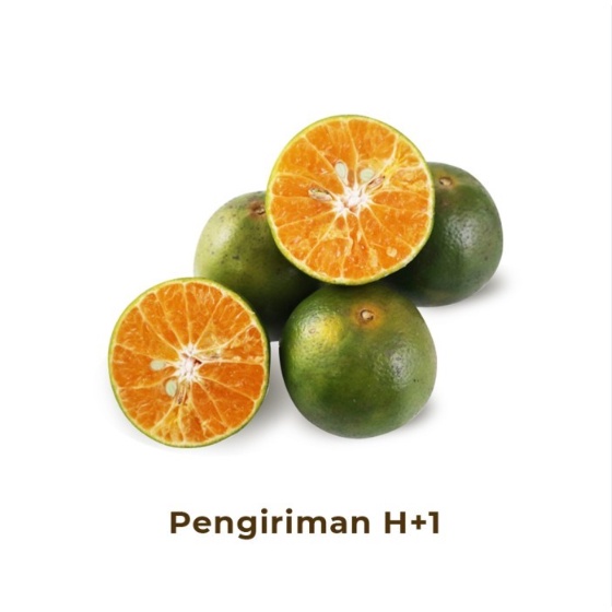 Jual Jeruk Peras Segar | Shopee Indonesia