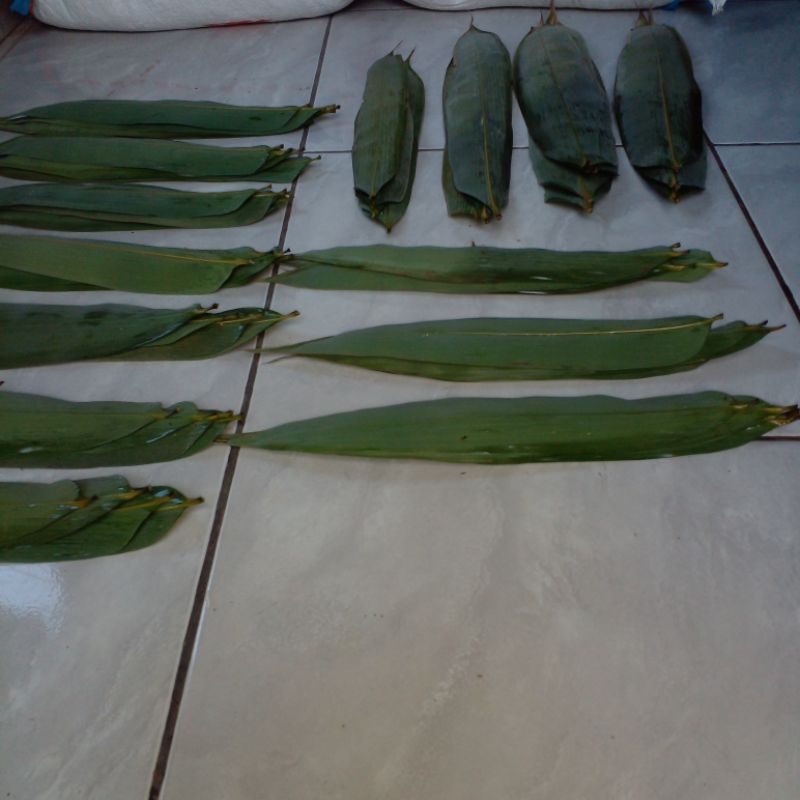 Jual DAUN BAMBU 100 lembar per ikat | Shopee Indonesia