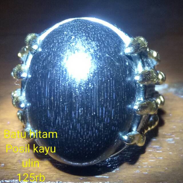 Jual Batu fosil kayu ulin | Shopee Indonesia