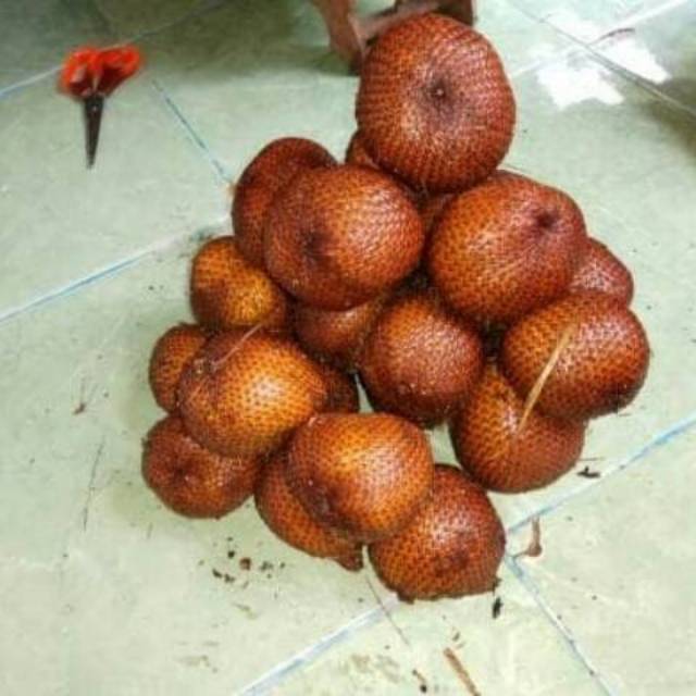 Jual Salak Gula Pasir + Salak Bali Biasa 50:50 [Mix,packing terpisah ...