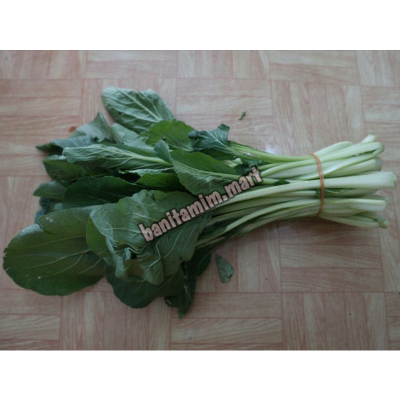 Jual SAYUR SOSIN SEGAR SATU IKAT BANDUNG | Shopee Indonesia