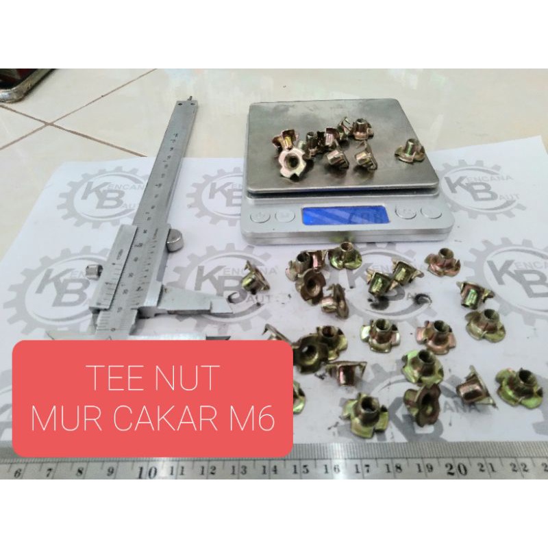 Jual MUR CAKAR M6 / TEE NUT M6 / T NUT M6 / MUR TANAM KAYU M6 | Shopee ...