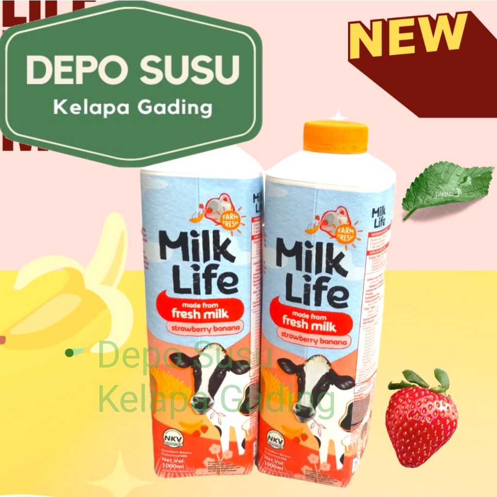 Jual Susu MilkLife Pure Milk / Chocolate 1L Freshmilk | Milk Life Fresh ...