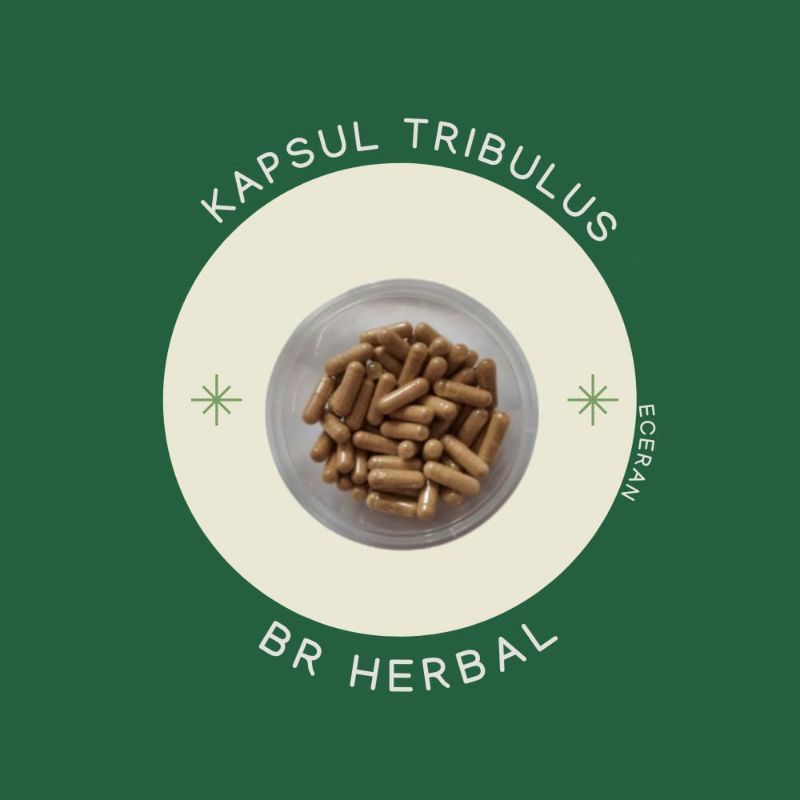 Jual Kapsul Tribulus Obat Jamu Herbal Testoterone And Terrestris ...