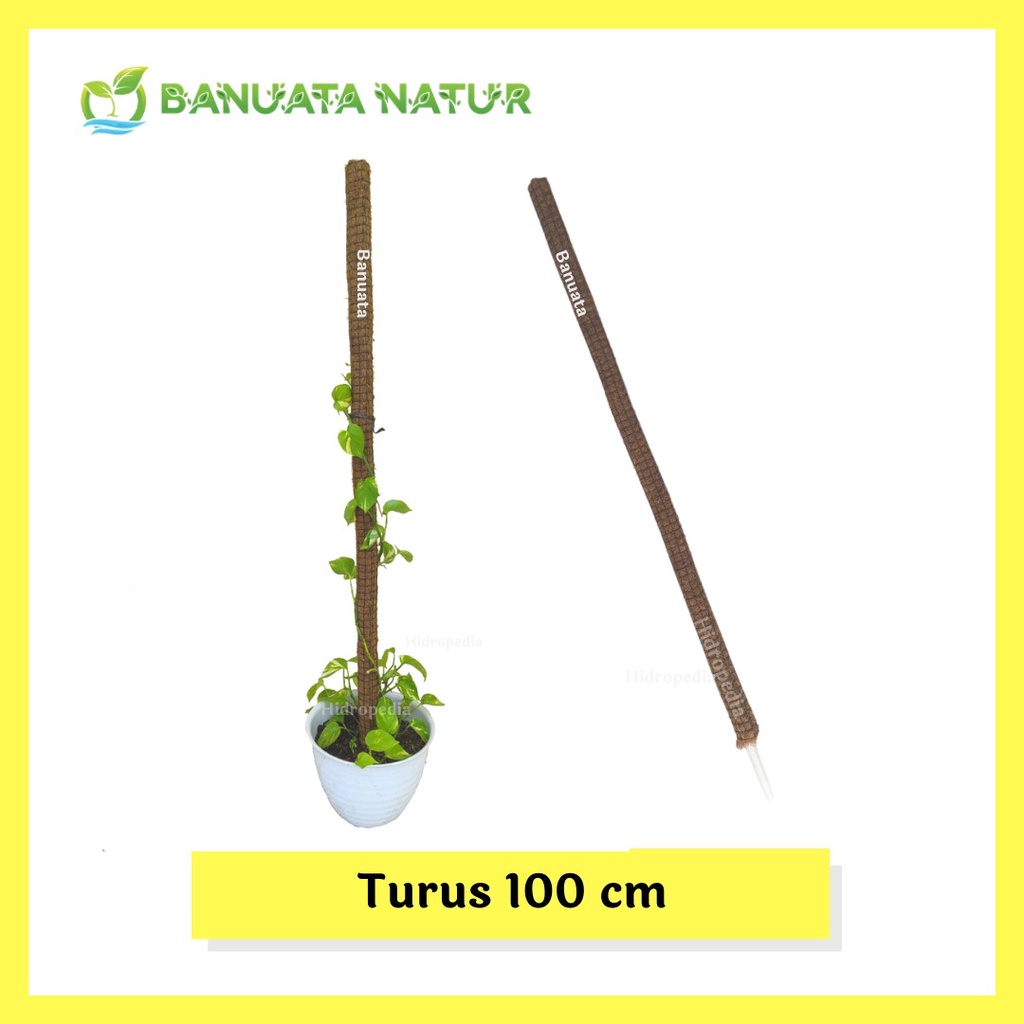 Jual Turus Ajir Penyangga Tanaman Rambat Sabut Kelapa 60, 90, 100 Cm ...