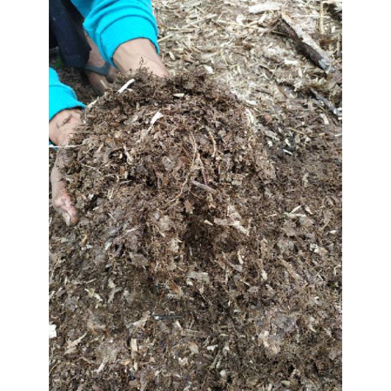 Jual tanah gembur humus bambu media tanam no 1 | Shopee Indonesia