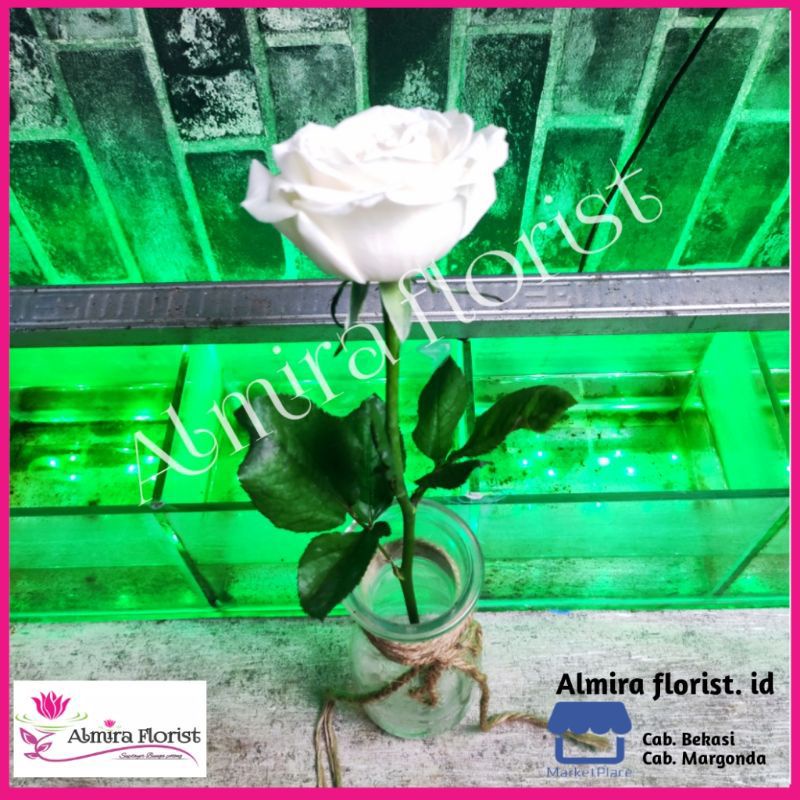 Jual [FRESH] Bunga Mawar / Rose asli segar per 1 tangkai | Shopee Indonesia