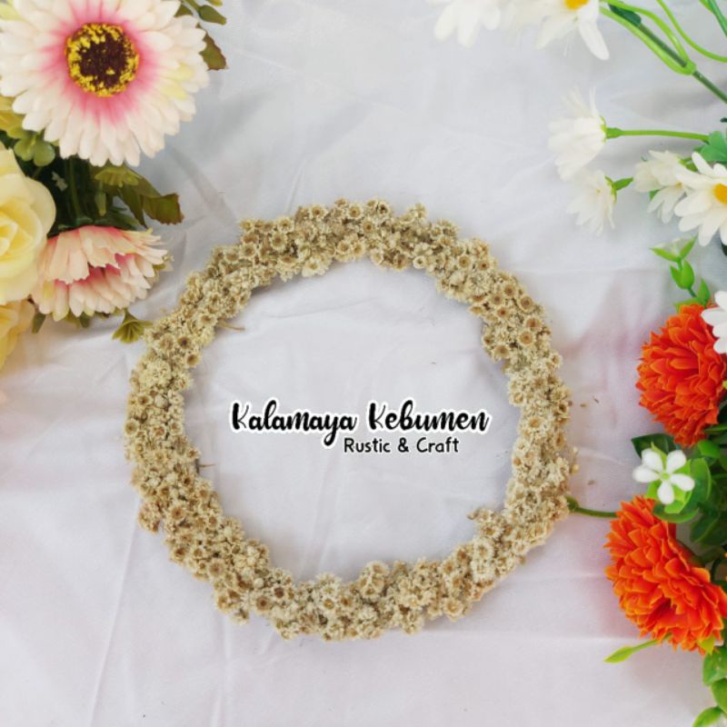 Jual Ring Arch Edelweis Lingkaran Bunga Abadi Hiasan Vas Guci Buket ...