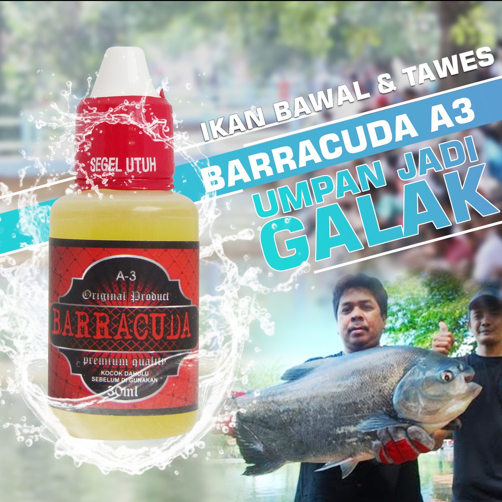 Jual Barracuda A3 Essen Umpan Mancing Ikan Bawal Harian Galatama Induk/Babon Isi 30ml Terbaik ...