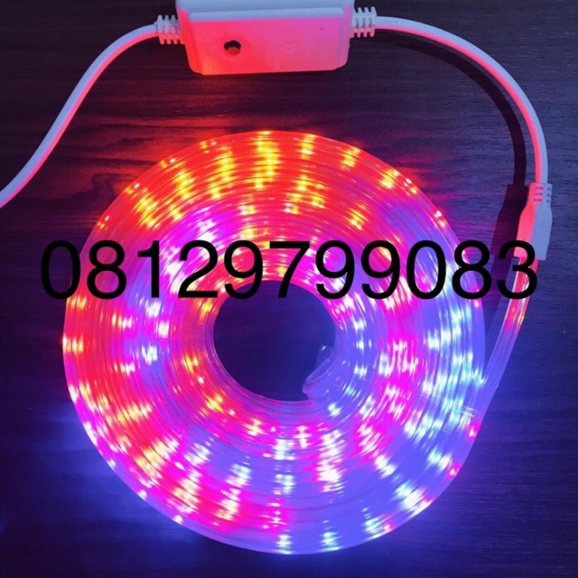 Jual Lampu selang led strip RGB 3528 2538 warna warni 10m 10 m 10meter ...