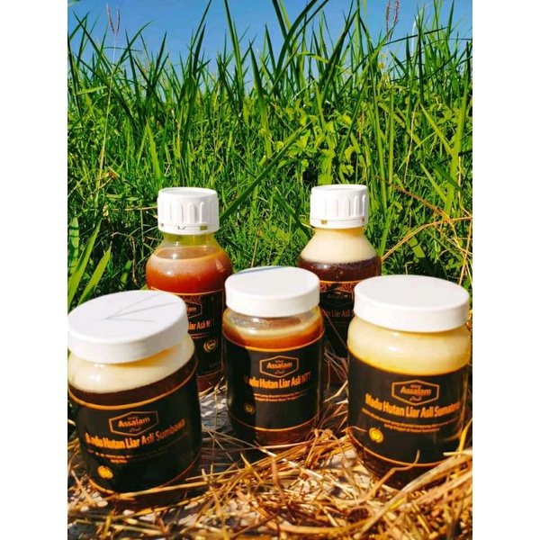 Jual Madu Hutan Liar Asli Sumbawa, NTT dan Sumatera | Shopee Indonesia