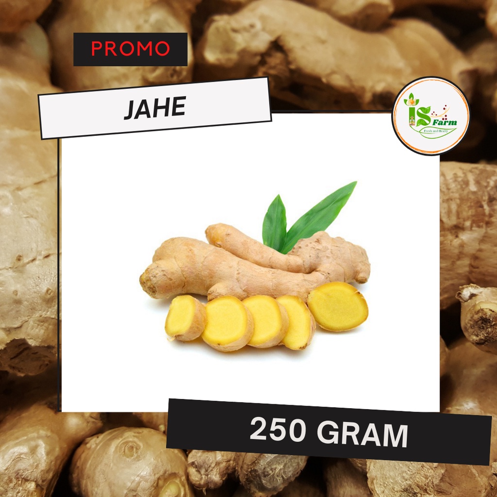 Jual Jahe 250 gram | Shopee Indonesia