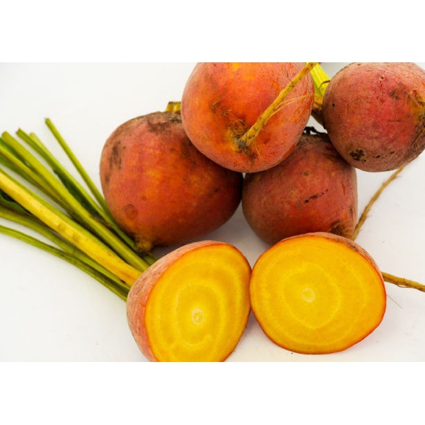 Jual Beetroot Golden Boldor F1 10 Biji (Benih Biji Bibit Tanaman Sayur ...