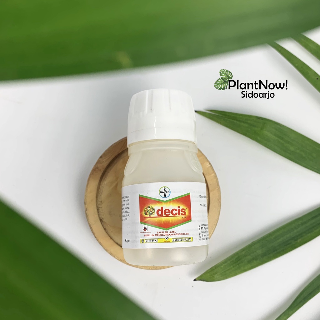 Jual Obat Pembasmi Hama Ulat Perusak Daun Insektisida Decis 25 EC 50ml ...