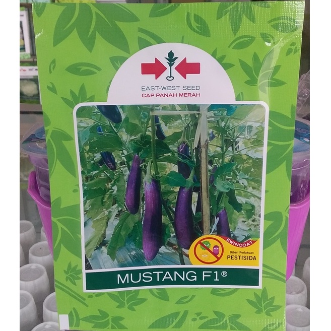 Jual Benih Terong Mustang F1 Isi 1100 Butir | Shopee Indonesia