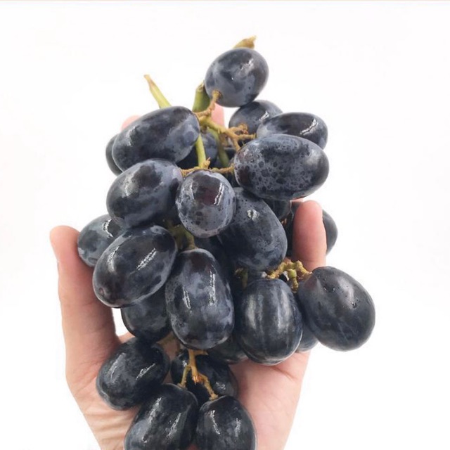 Jual Anggur Black Autumn IMPORT 1KG [HARVEST LINE] | Shopee Indonesia