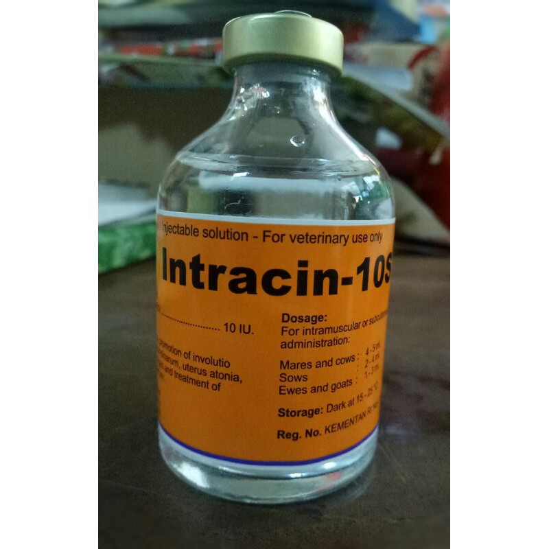 Jual hormon Intracin-10S | Shopee Indonesia