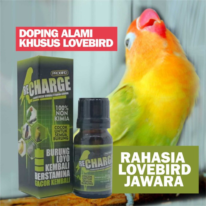 Jual RAMUAN LOVEBIR NGEKEK PANJANG SIAP JUARA SUDAH TERBUKTI MANJUR ...