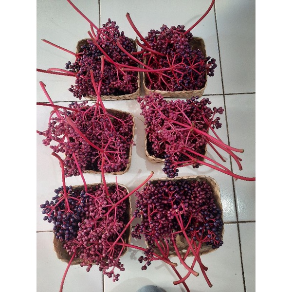 Jual Buah Parijotho Muria 250 gr | Shopee Indonesia