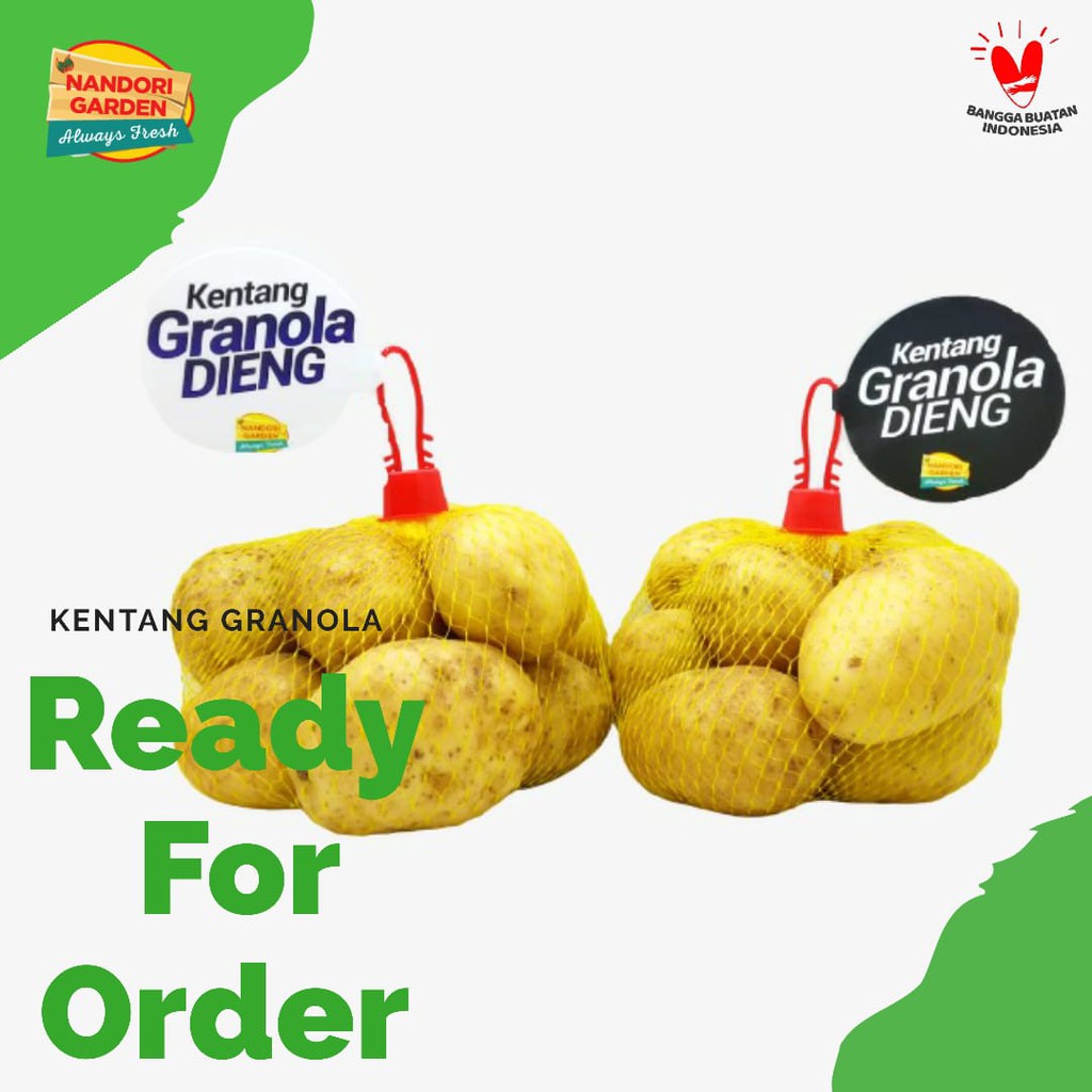 Jual Nandori Garden Kentang Dieng/ Kentang Ungu/Kentang Merah Super ...