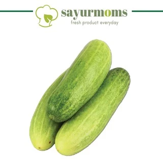 Jual Timun 1 Kg Terlengkap & Harga Terbaru Juli 2024 | Shopee Indonesia