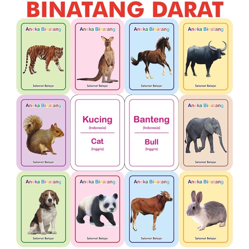 Jual Flashcard Aneka Binatang Darat anak balita Flash Card | Shopee ...