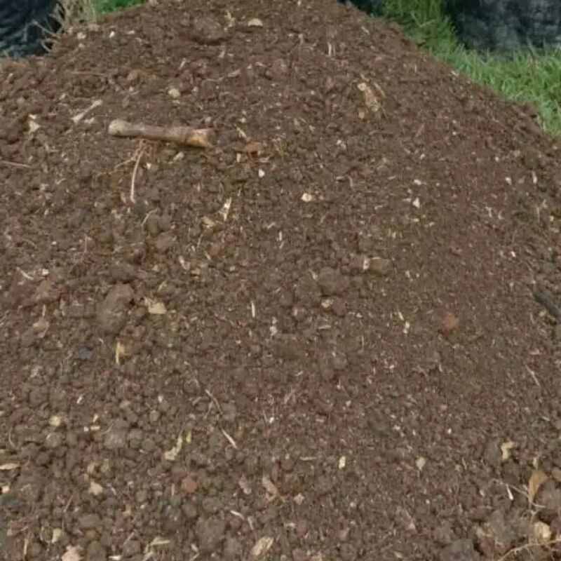 Jual Tanah Humus Bambu 500gr / Media Tanam | Shopee Indonesia
