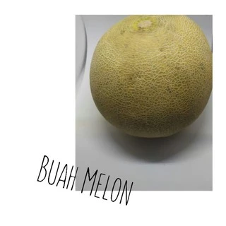 Jual Melon 1 Kg Terlengkap & Harga Terbaru Mei 2024 | Shopee Indonesia