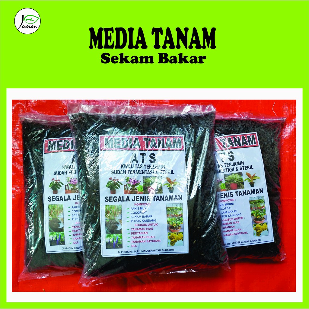 Jual Media Tanam | Shopee Indonesia