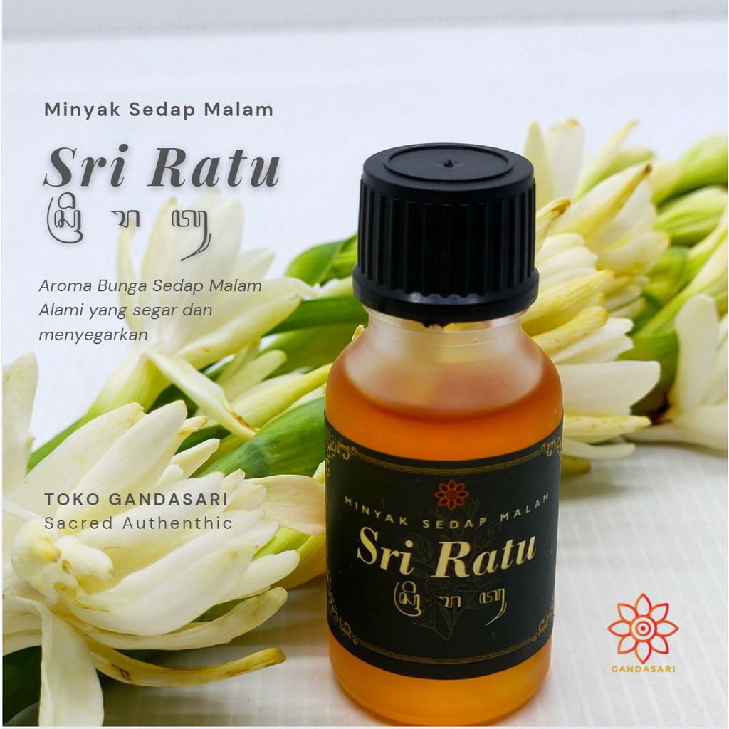 Jual MInyak Wangi Sedap Malam SRI RATU Aroma Bunga Alami Segar terbaik ...