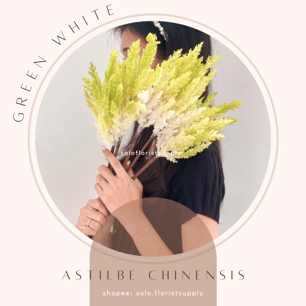 Jual ASTILBE CHINENSIS ARTIFICIAL Bunga Astilbe Tangkai Panjang ...