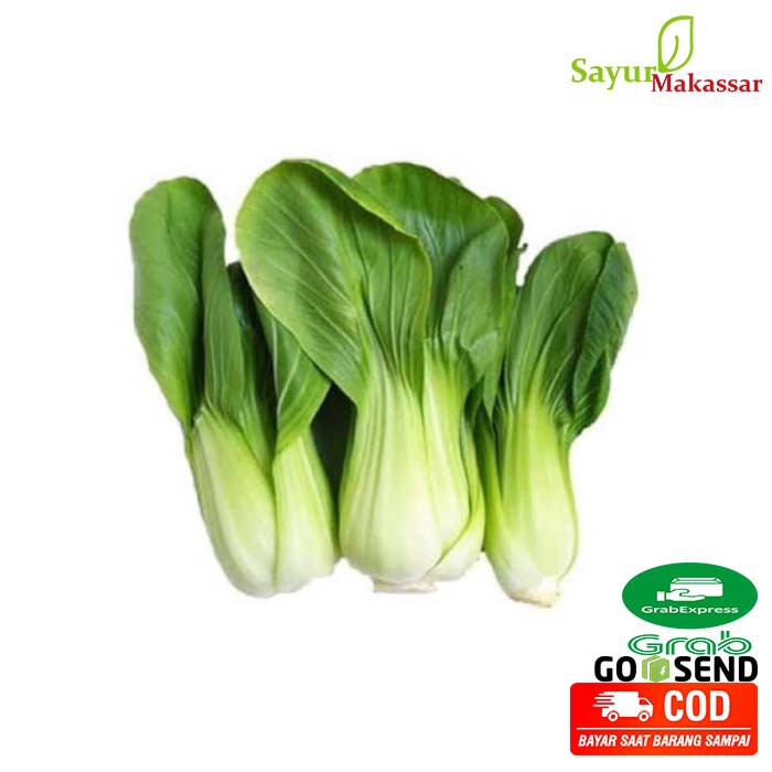 Jual Pakcoy 1 kg / Sawi daging / Packcoy Sayur Sayuran Segar Makassar ...