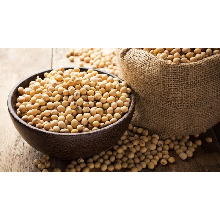 Jual KEDELAI IMPORT 1KG | Shopee Indonesia