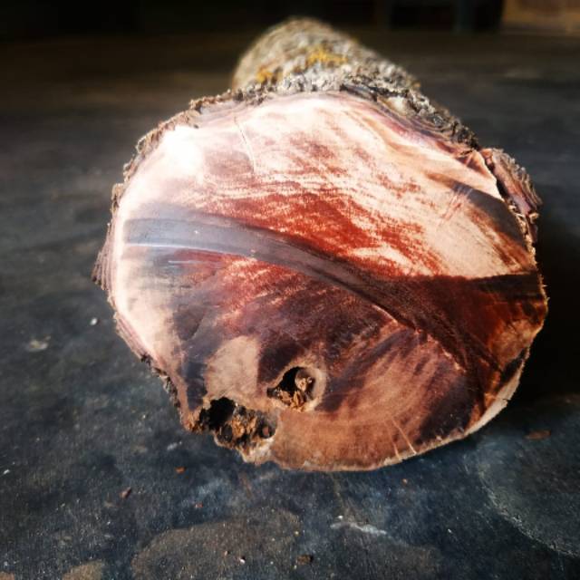 Jual Bahan kayu stigi darat berat 2kg gram | Shopee Indonesia