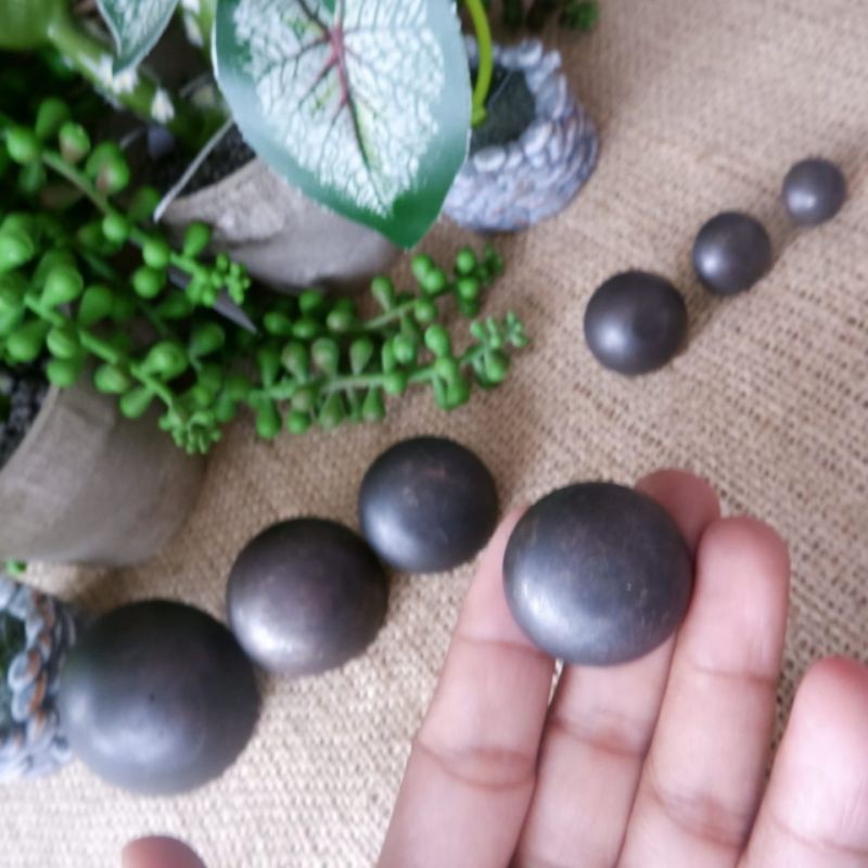 Jual PAKU PINES DIAMETER 3CM BENTUK JAMUR POLOS UNTUK VARIASI FURNITURE ...