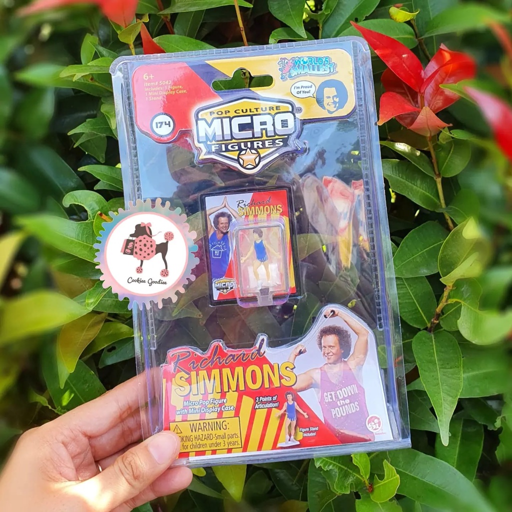 Jual World Smallest Richard Simmons Pop Culture Micro Figures - Blue ...