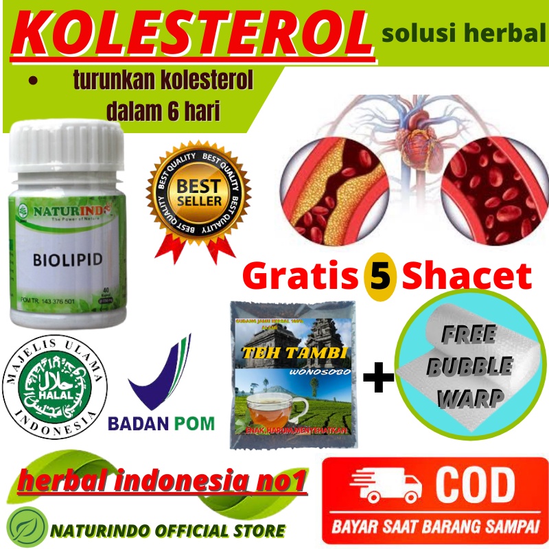 Jual Obat herbal kolesterol kolestrol lemak darah jahat penyumbatan ...